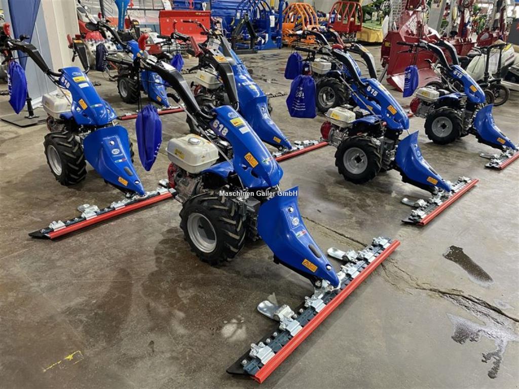 BCS 618 3 GANG MIT HONDA MOTOR d'occasion - Tondeuse - 2024